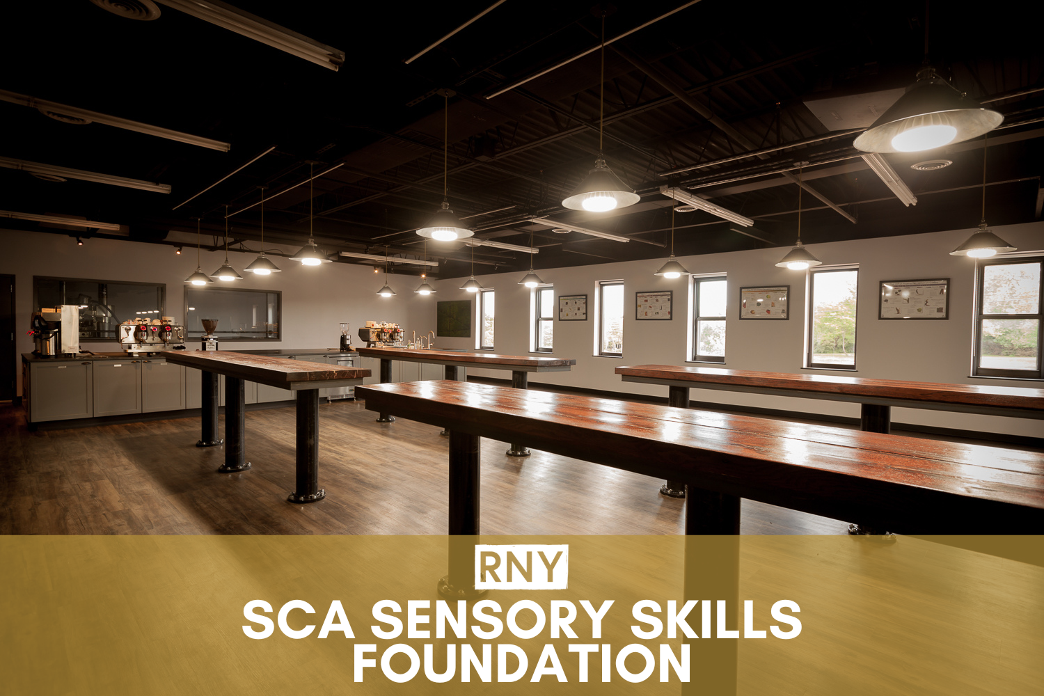 SCA Sensory Skills Foundation | Royal New York